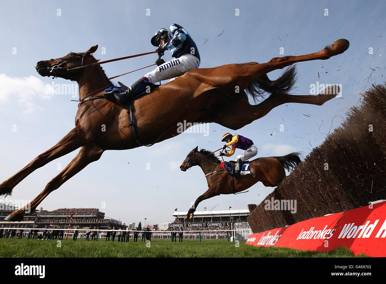 Golden miller cheltenham hi-res stock photography and images - Alamy