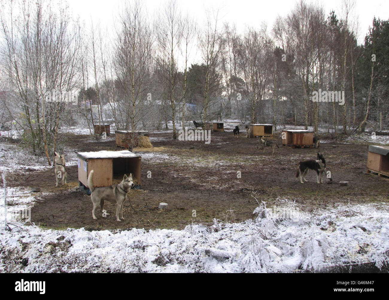 Lapland theme park case Stock Photo - Alamy