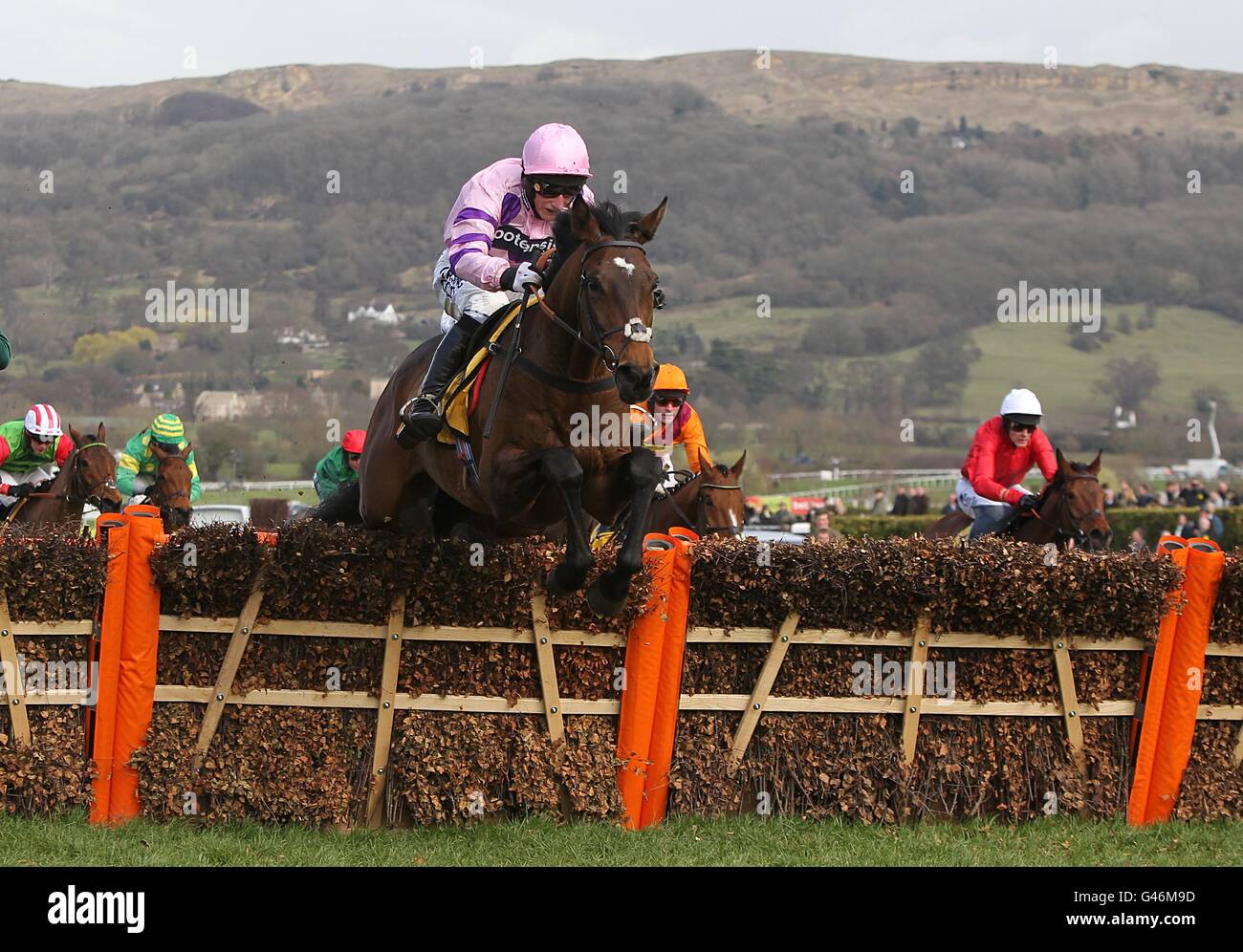 Jockey Daryl Jacob on Zarkandar jumps a fence on the way to winning the ...