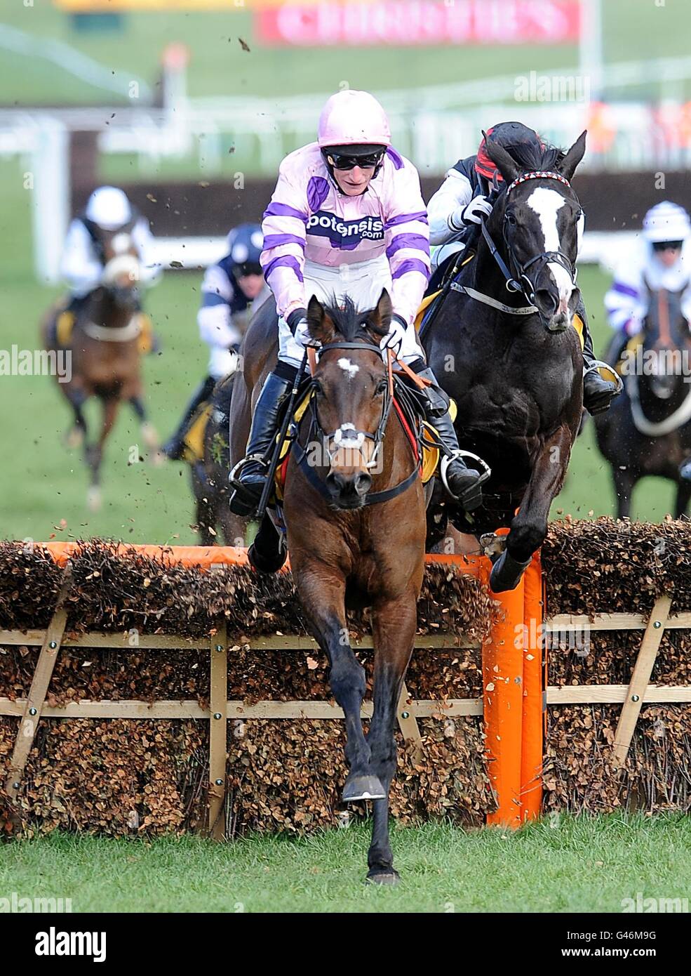Jockey Daryl Jacob on his way to winning the JCB Triumph Hurdle Grade ...