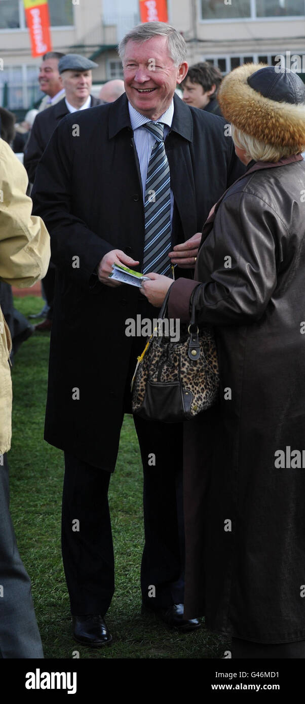 Sir alex ferguson gold cup day cheltenham festival cheltenham ...