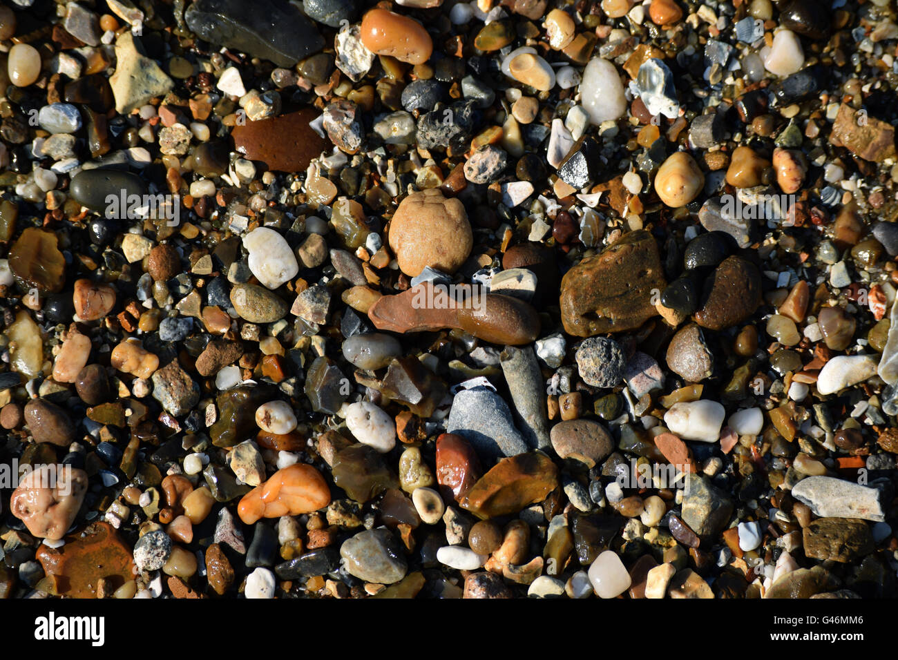 Messy beach garden hi-res stock photography and images - Alamy