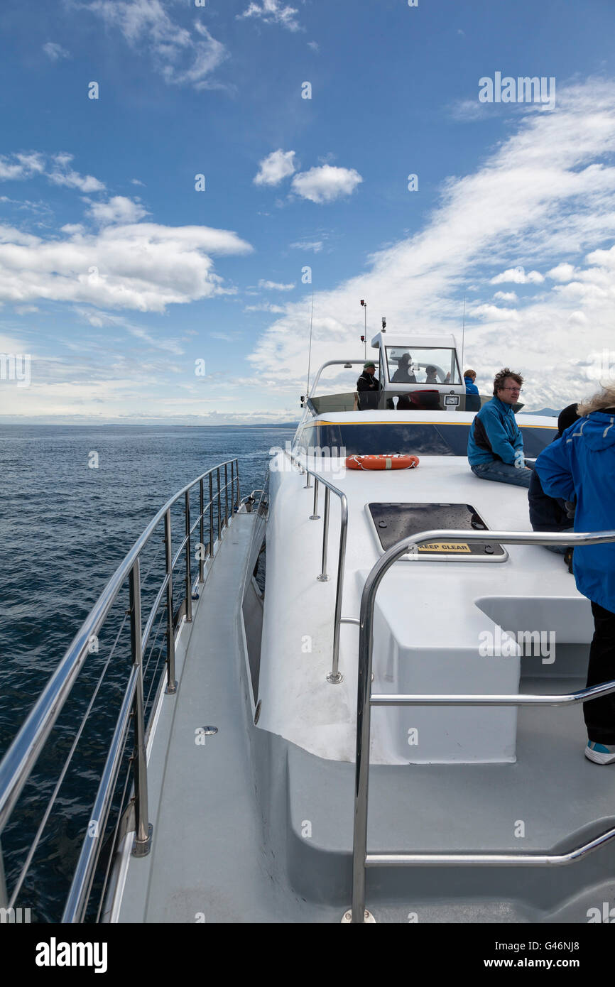 Watching sail boats hi-res stock photography and images - Alamy