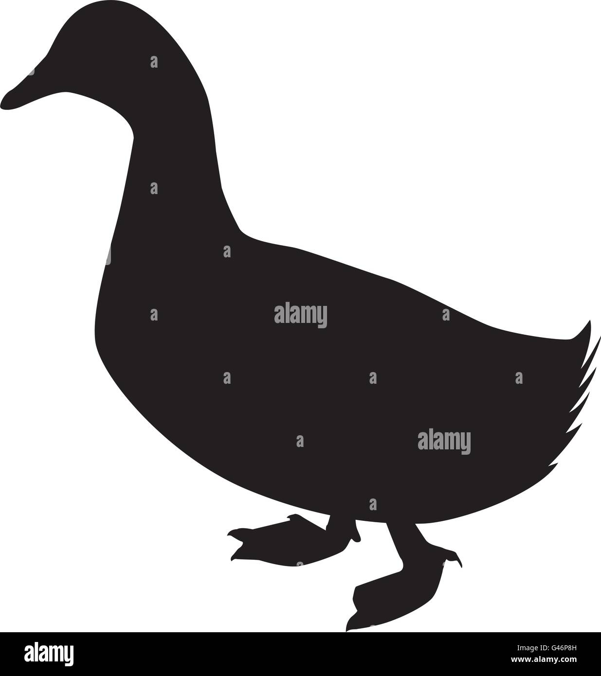 duck animal farm isolated icondesign Stock Vector Image & Art - Alamy