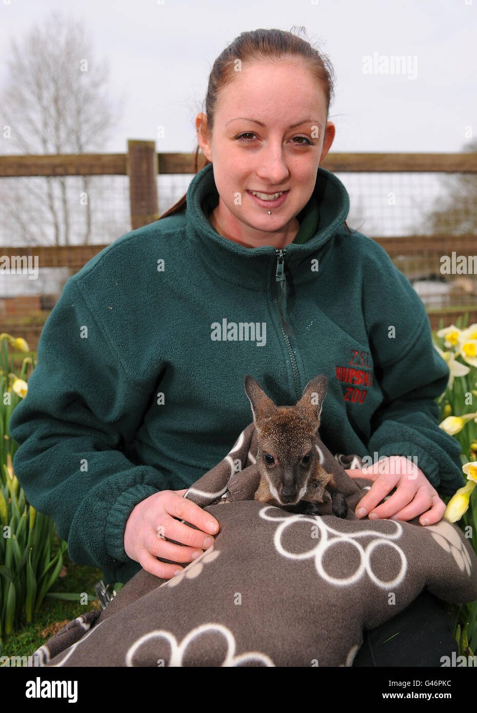 Smiling wallaby hi-res stock photography and images - Alamy