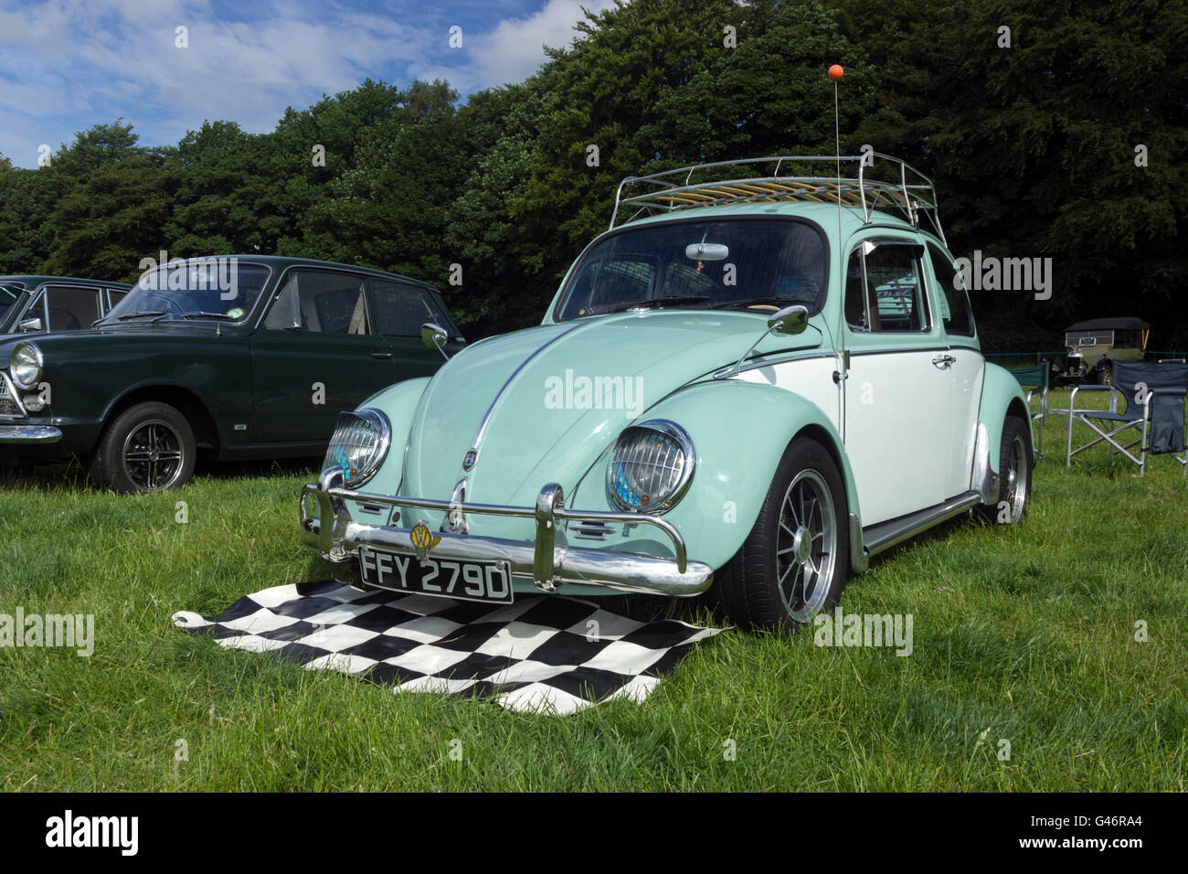 Two tone beetle hi-res stock photography and images - Alamy