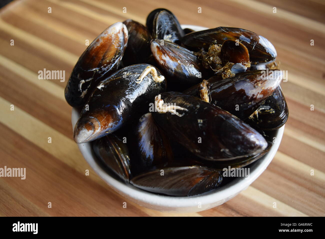 Mollus hi-res stock photography and images - Alamy