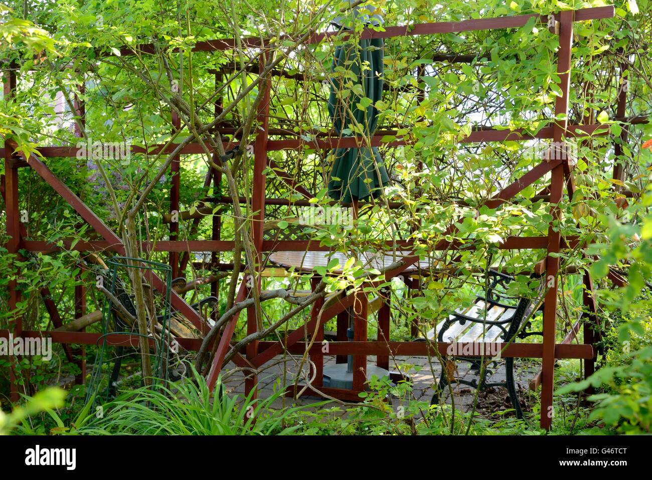 Beautiful arbor Stock Photo - Alamy