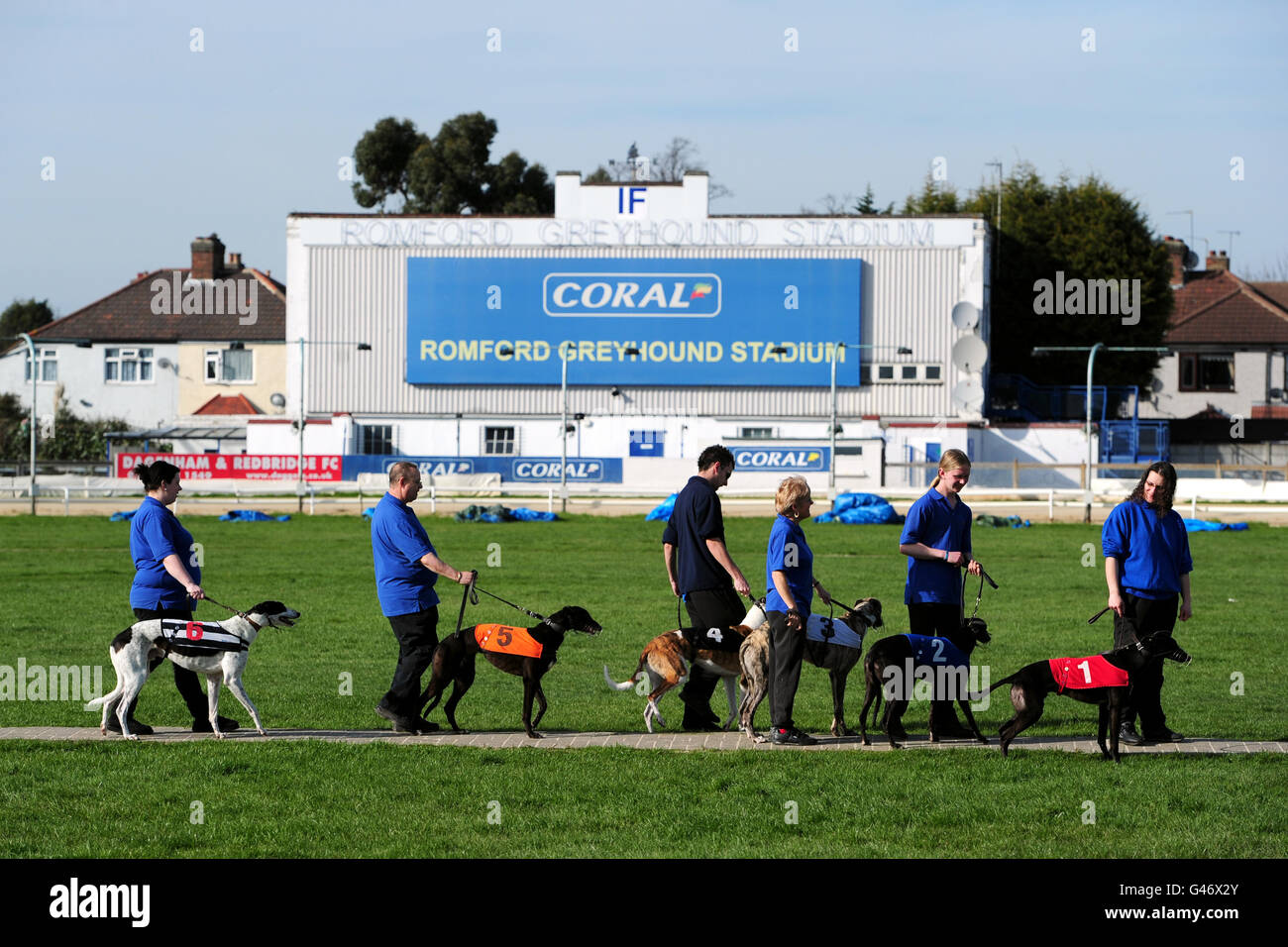 The Greyhounds are walked before the racing at Romford Greyhound ...