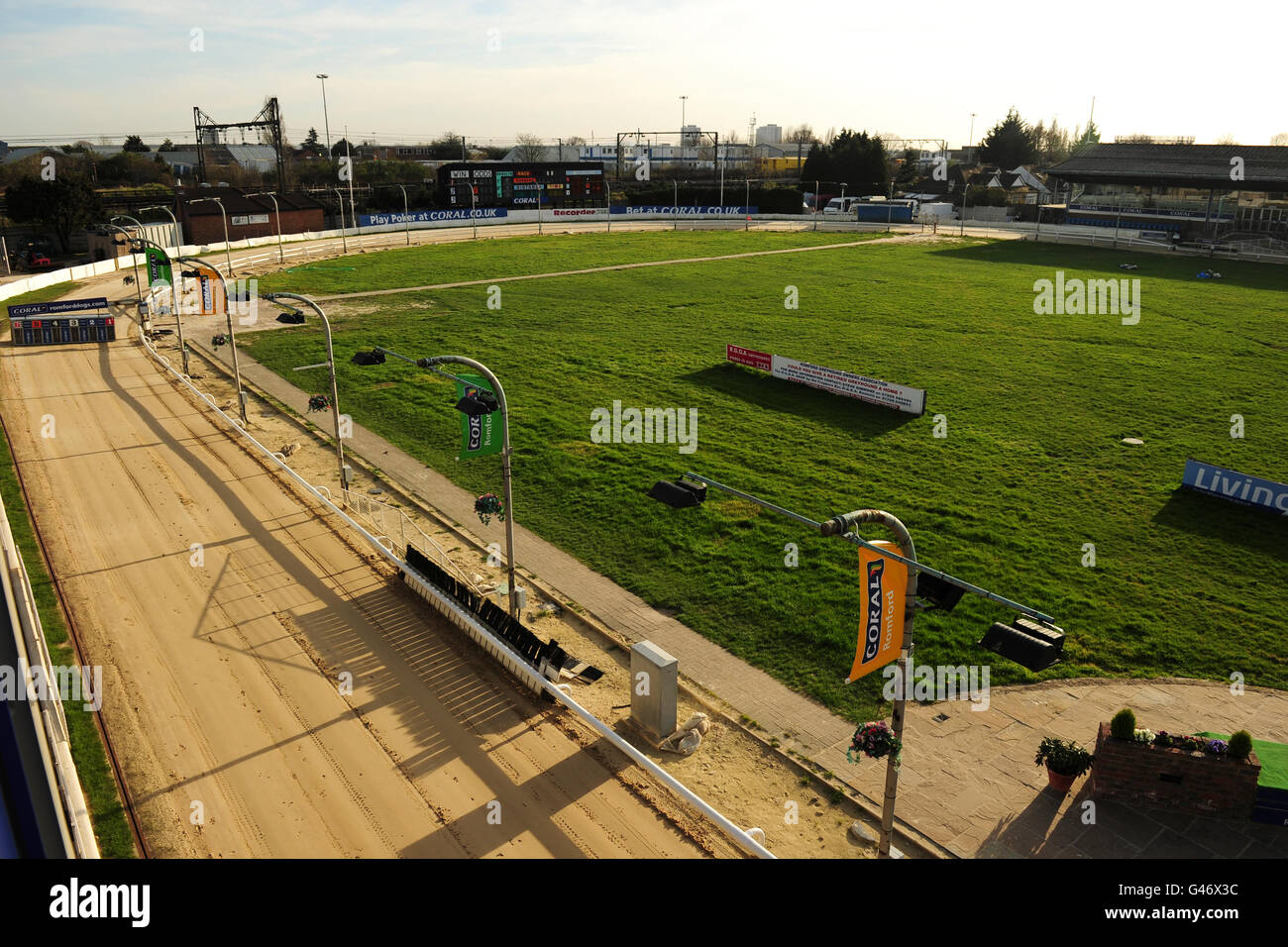 Greyhounds - Romford Greyhound Stadium Stock Photo - Alamy