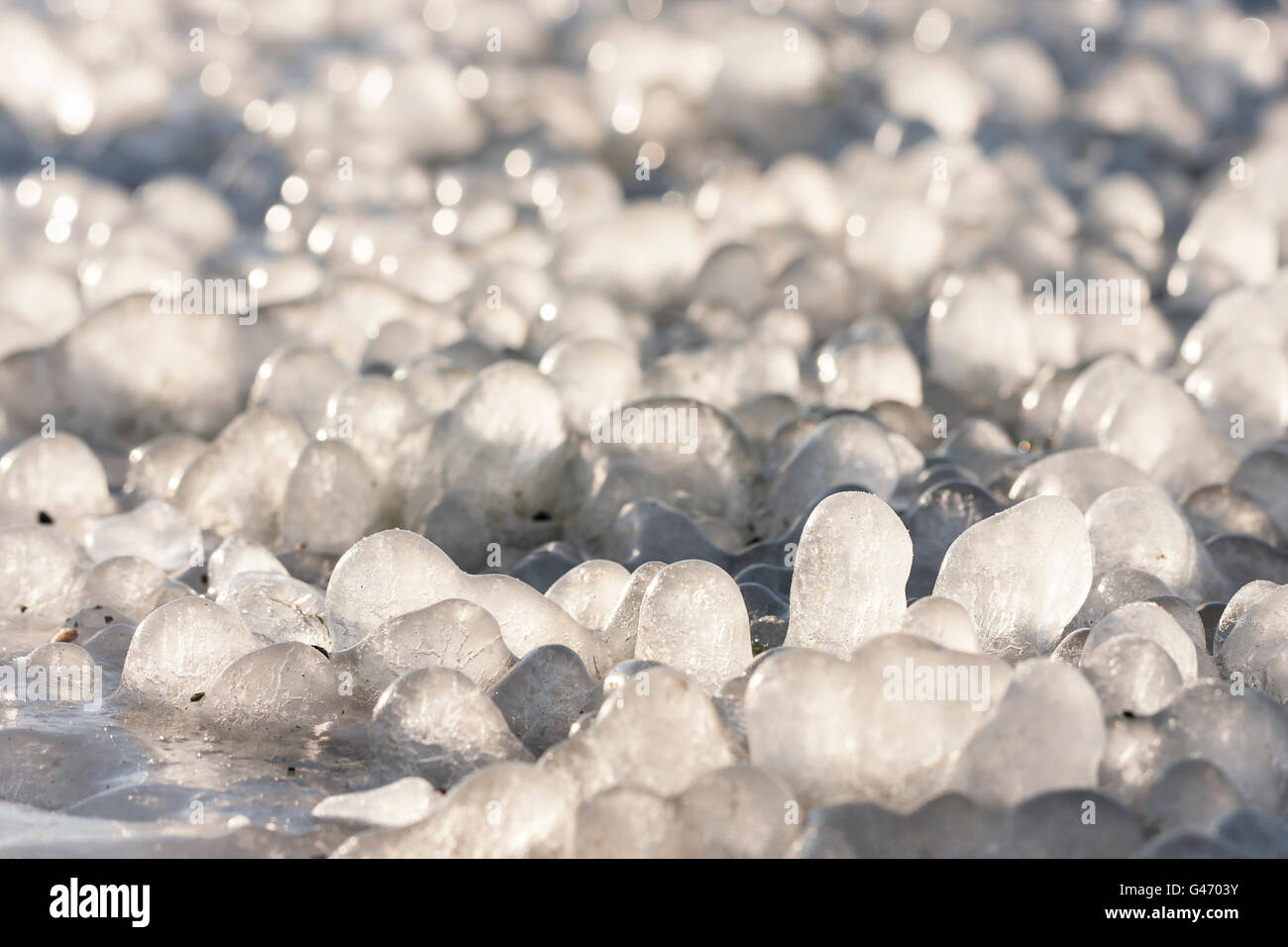 Little round icicles formed around grass leaves on the ground Stock ...