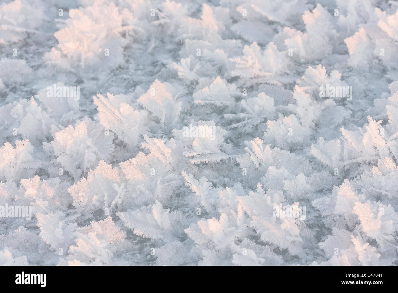 Closeup snow flake hi-res stock photography and images - Alamy