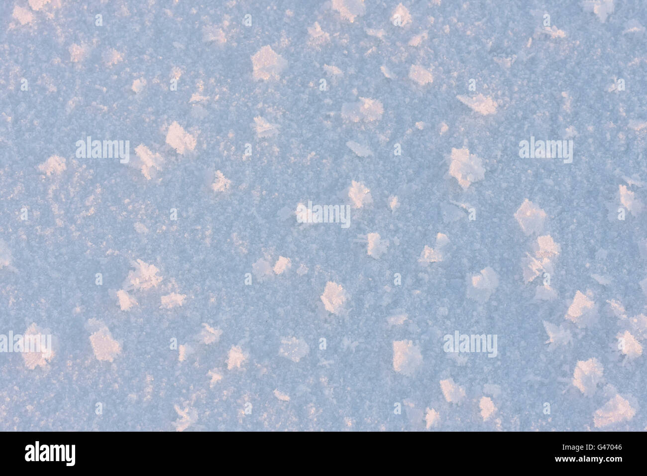 Still life snow flake crystals hi-res stock photography and images - Alamy