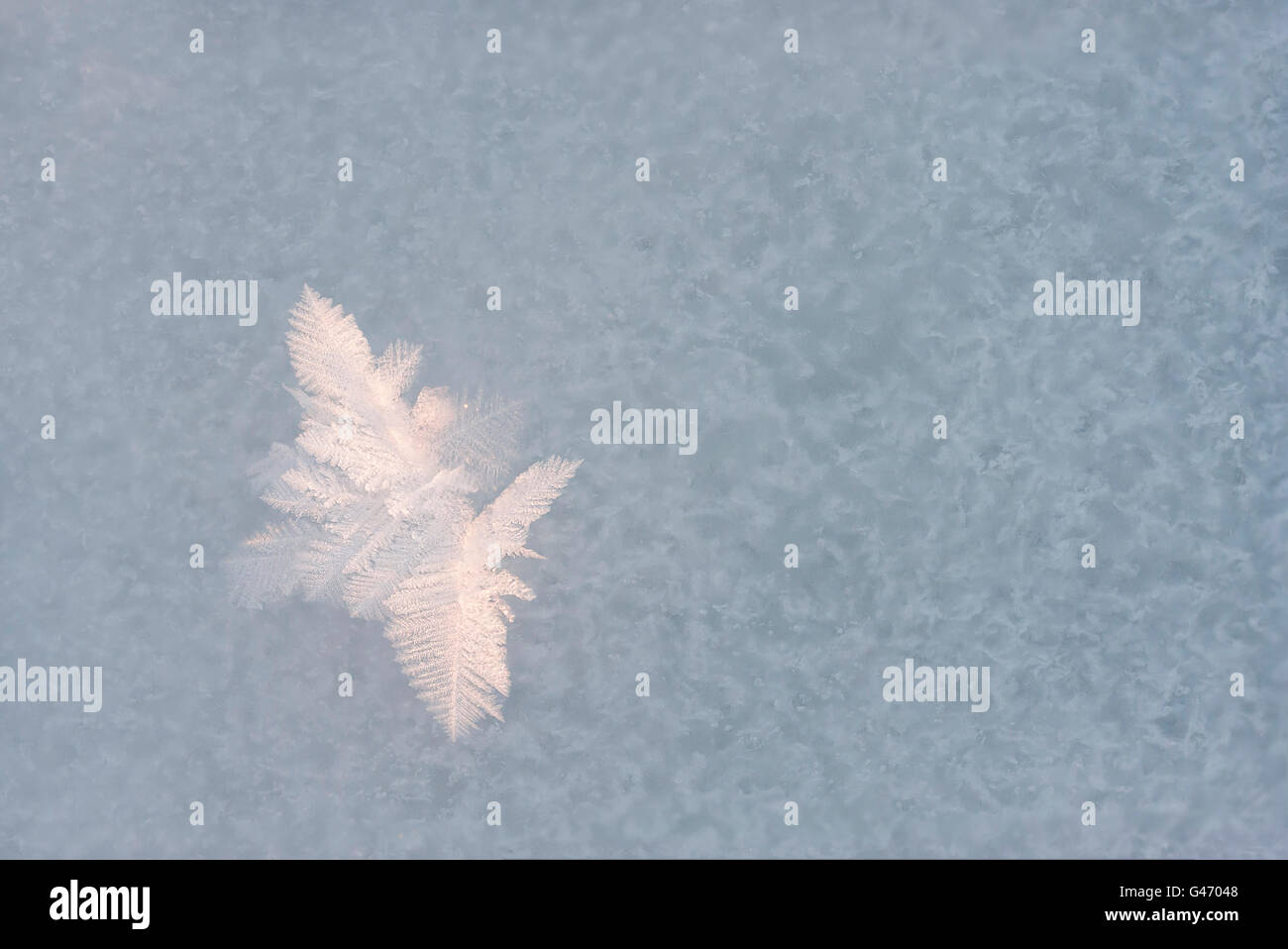 Still life snow flake crystals hi-res stock photography and images - Alamy