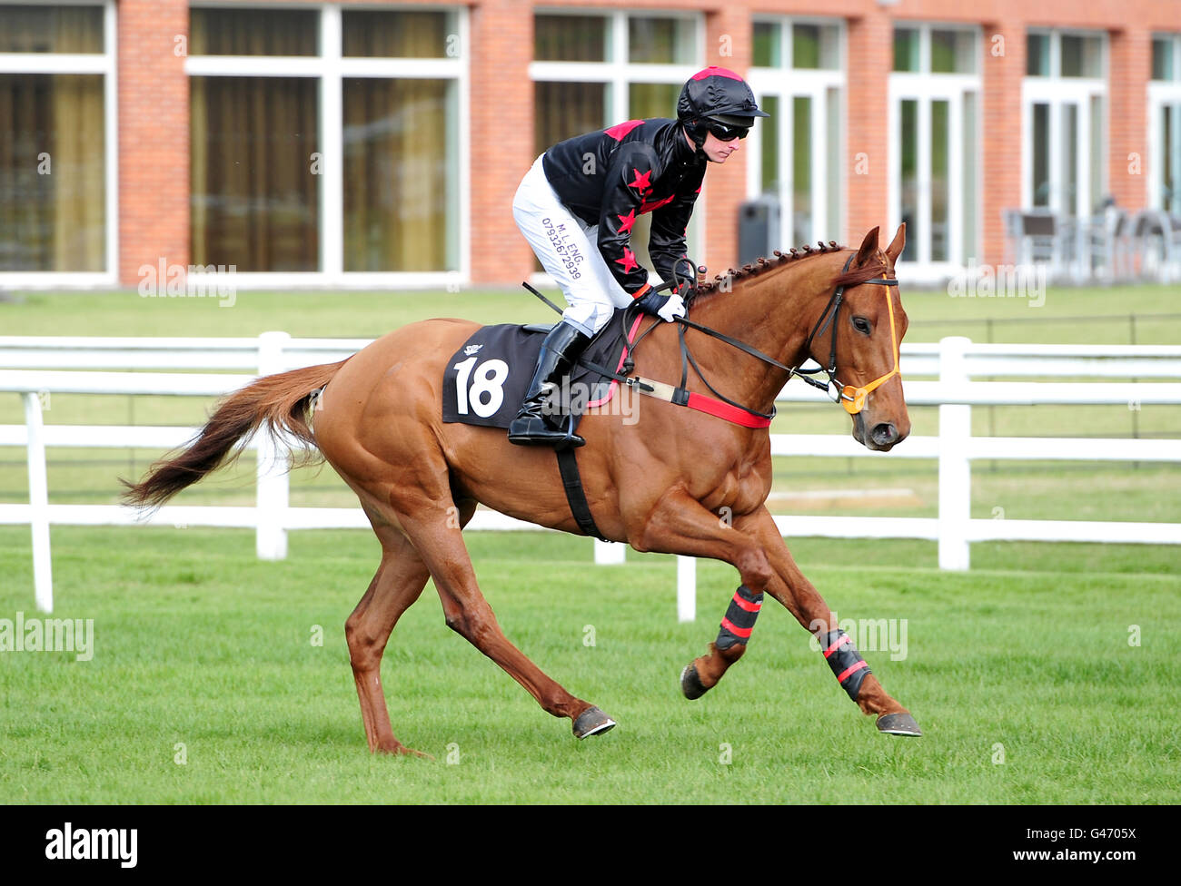 Horse Racing - National Hunt Racing - Lingfield Park Stock Photo - Alamy
