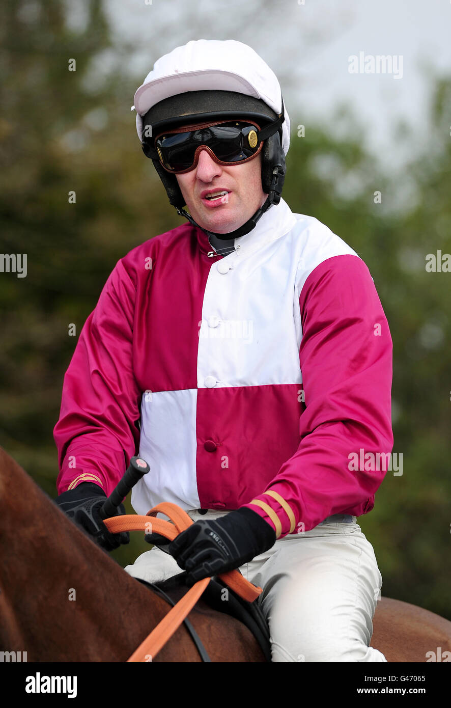 Horse Racing - National Hunt Racing - Lingfield Park Stock Photo - Alamy