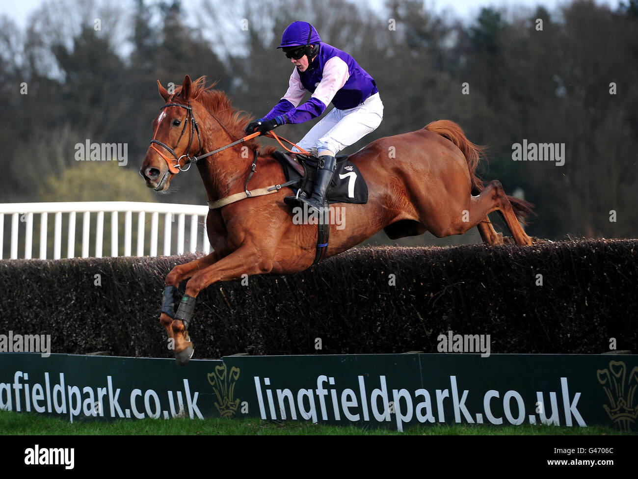 Horse Racing - National Hunt Racing - Lingfield Park Stock Photo - Alamy