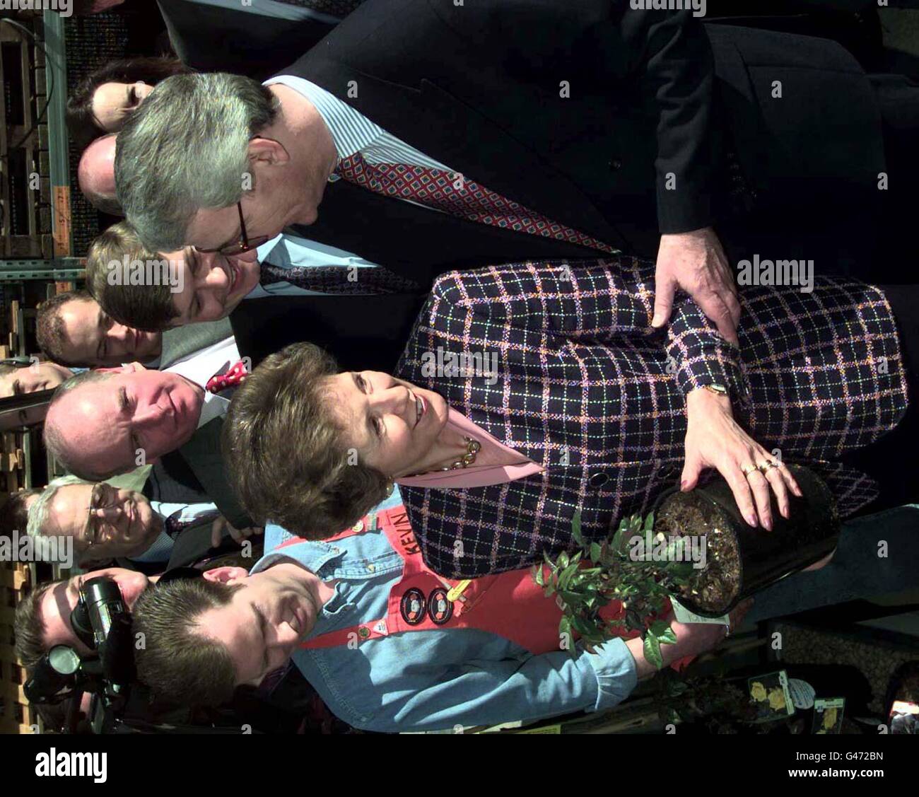 Major B&Q 3 Stock Photo - Alamy