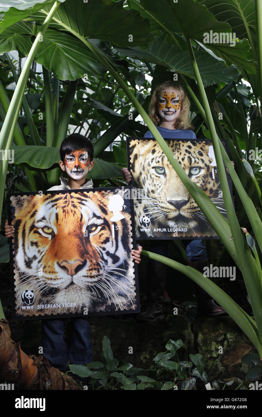 Wwf 50th anniversary hi-res stock photography and images - Alamy