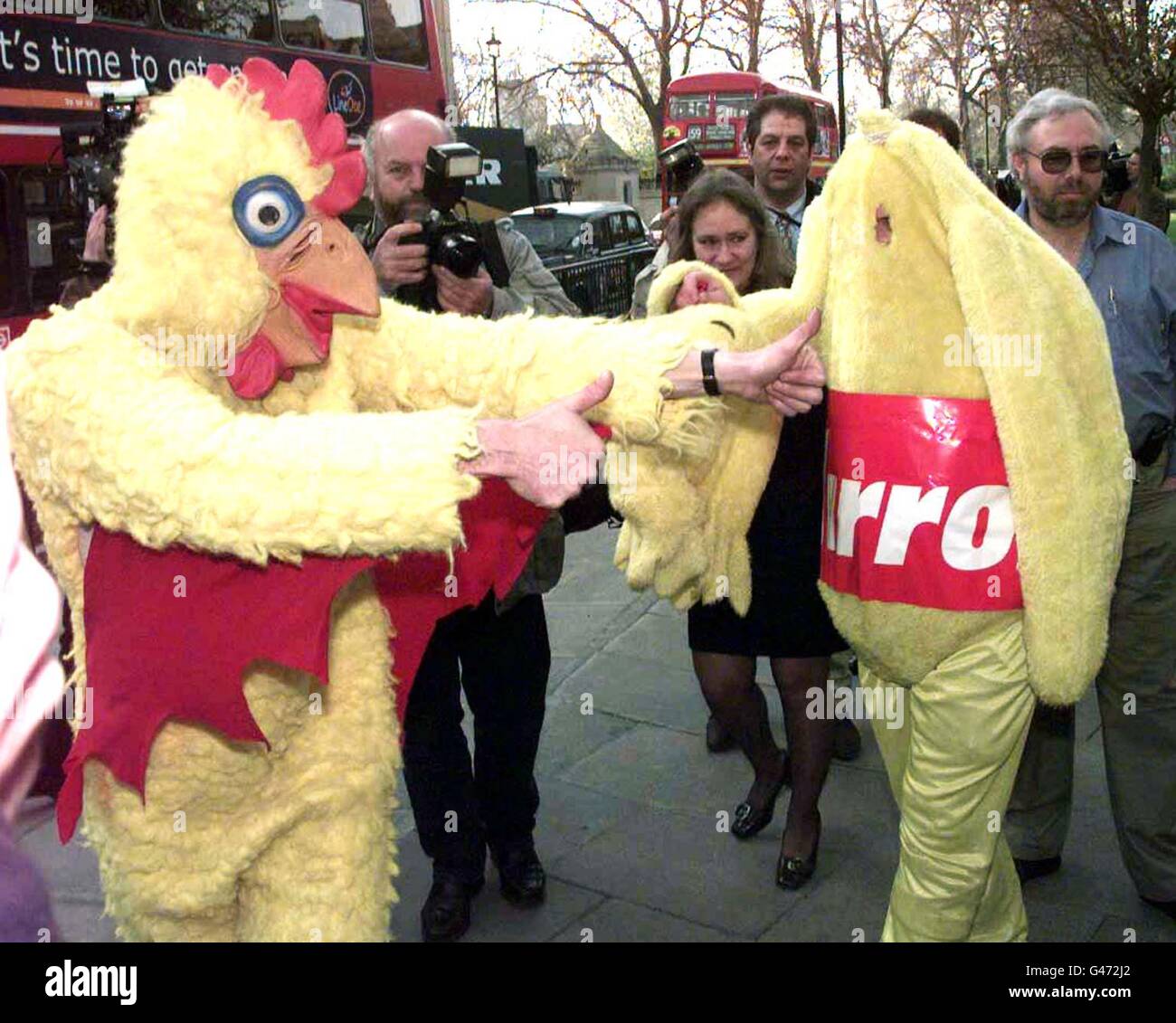Chicken battle hi-res stock photography and images - Alamy