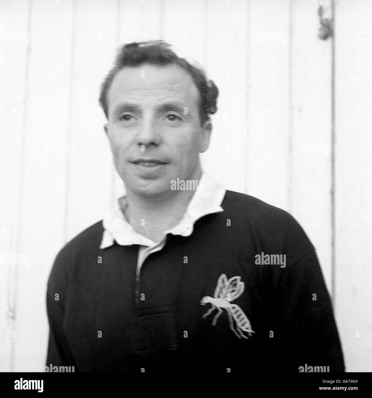 Wasps rugby Black and White Stock Photos & Images - Alamy