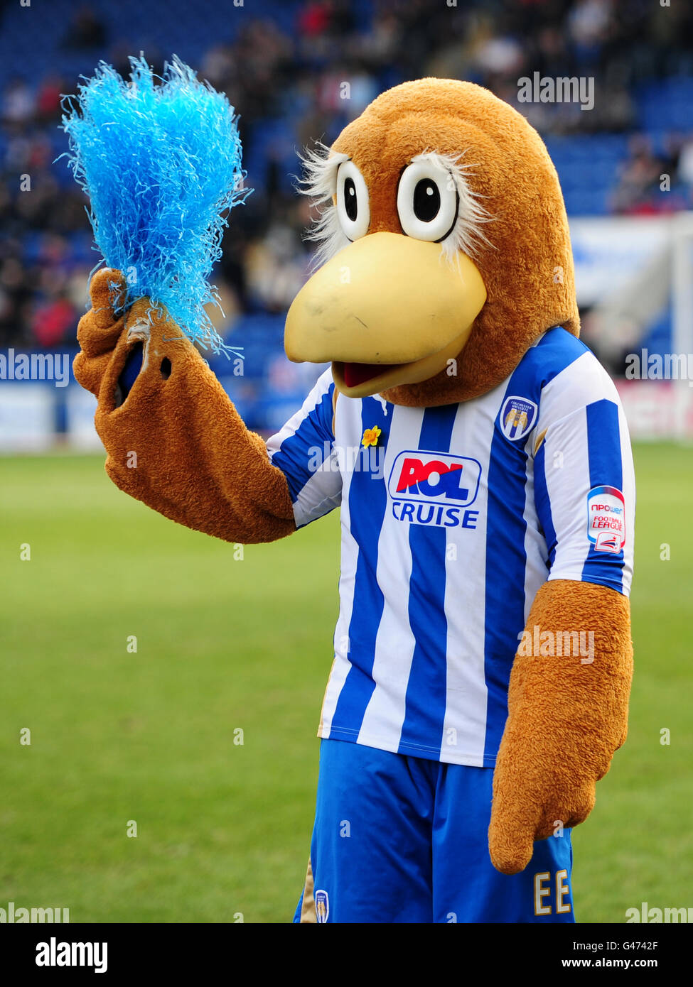 Colchester united mascot hi-res stock photography and images - Alamy