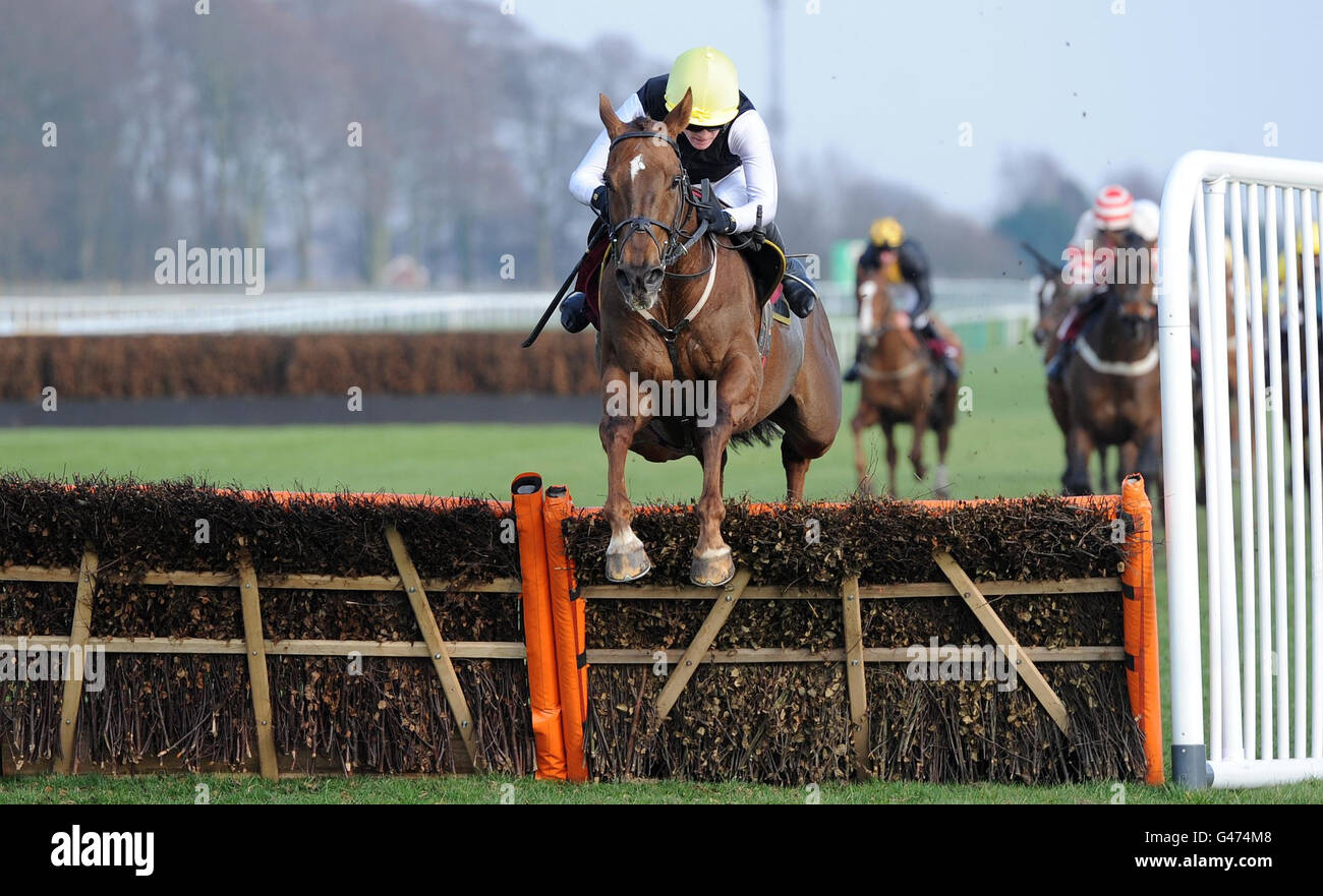 Horse Racing - Haydock Park Racecourse Stock Photo - Alamy