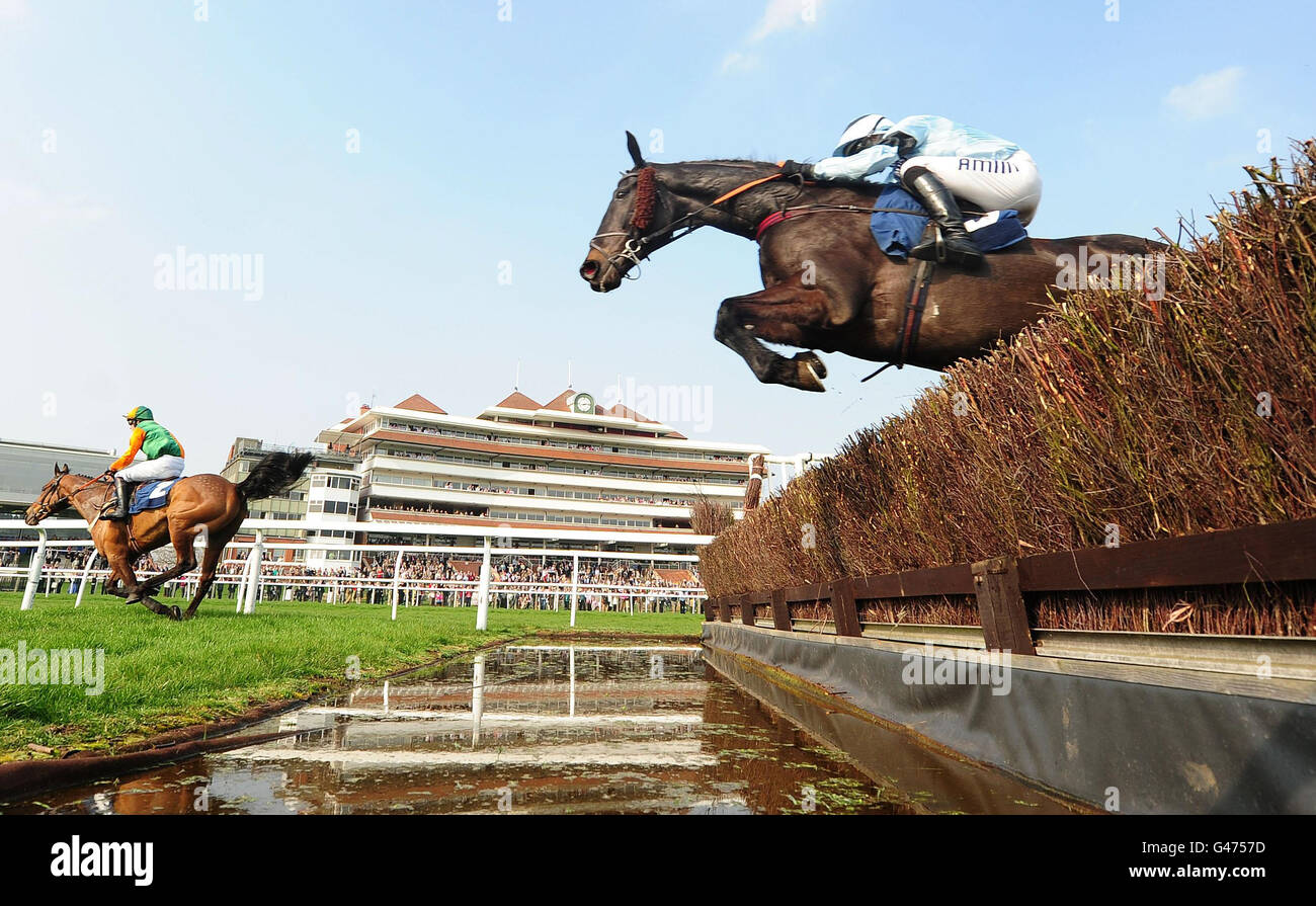 10002 horse racing races racing newbury full length jumping mangsm hi ...