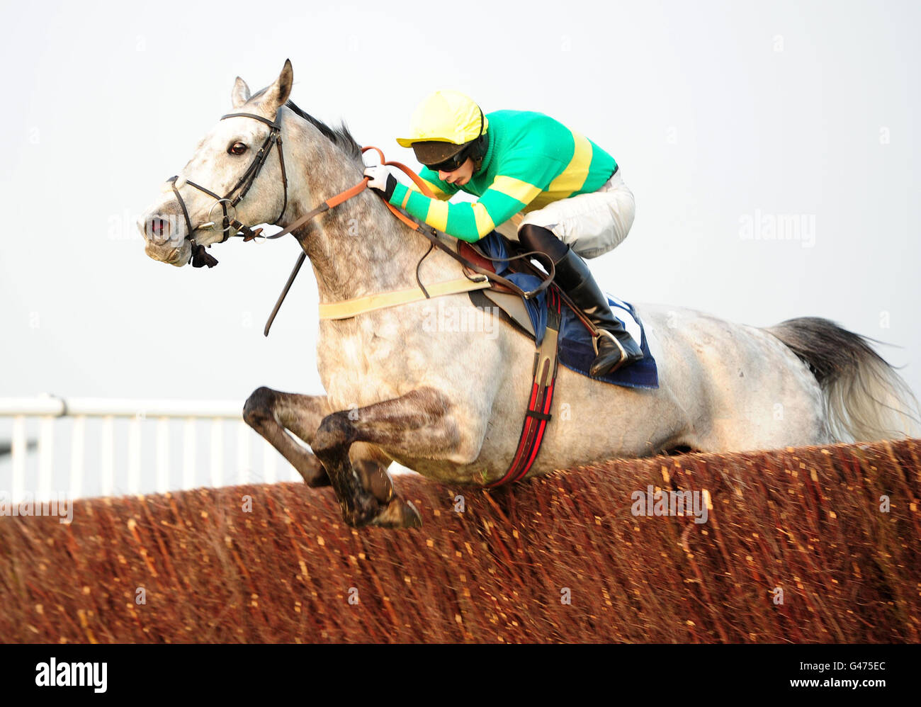 10002 horse racing races racing newbury full length jumping fence hi ...