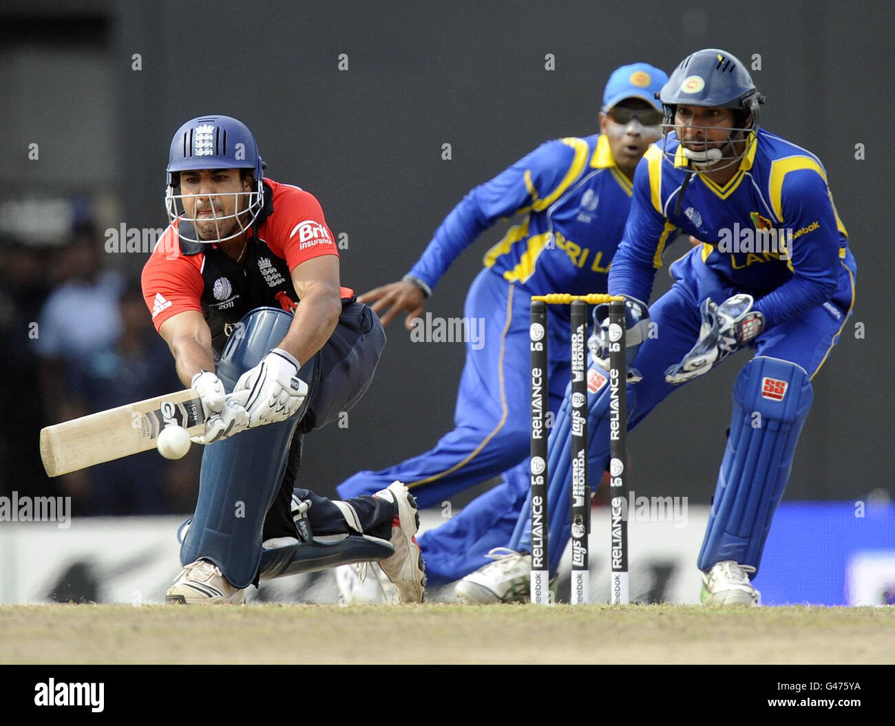 2011 icc final hi-res stock photography and images - Alamy