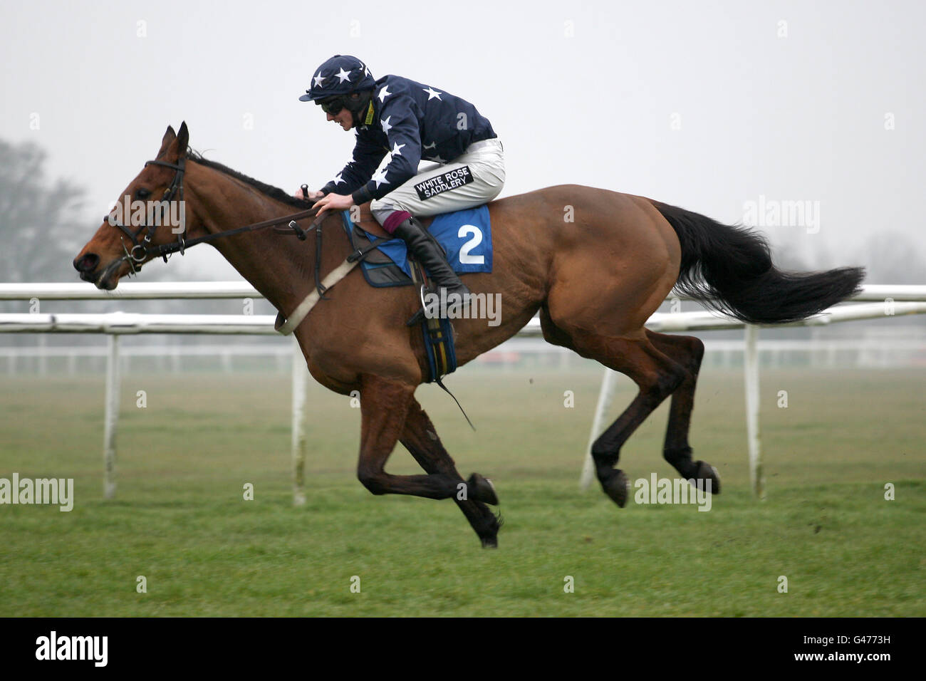 James reveley horse hi-res stock photography and images - Alamy