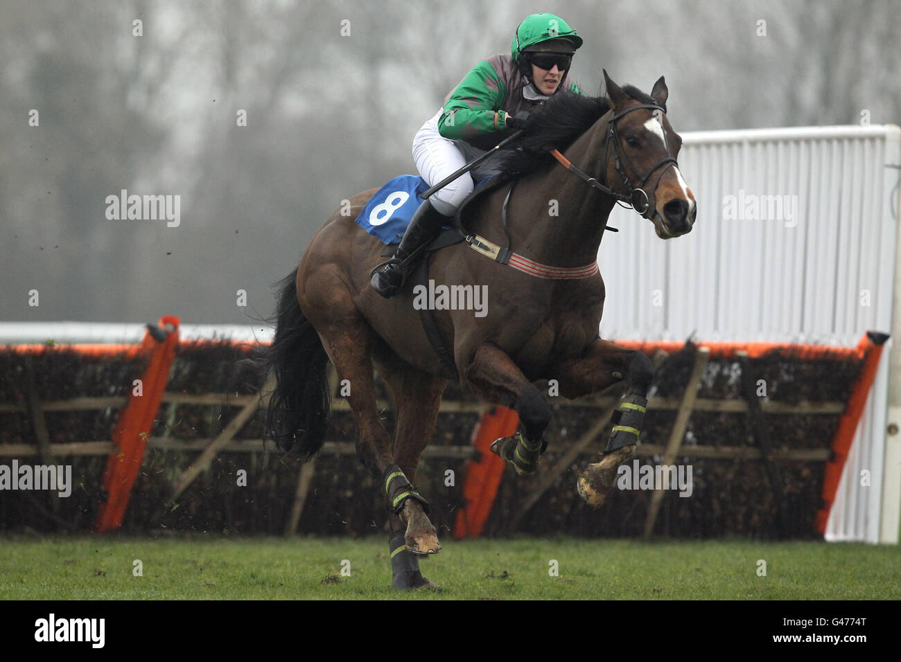 Freedom of huntingdon hi-res stock photography and images - Alamy