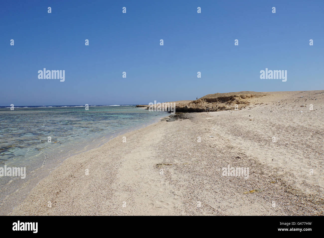 coral reef on egypt coast near el quesir Stock Photo - Alamy
