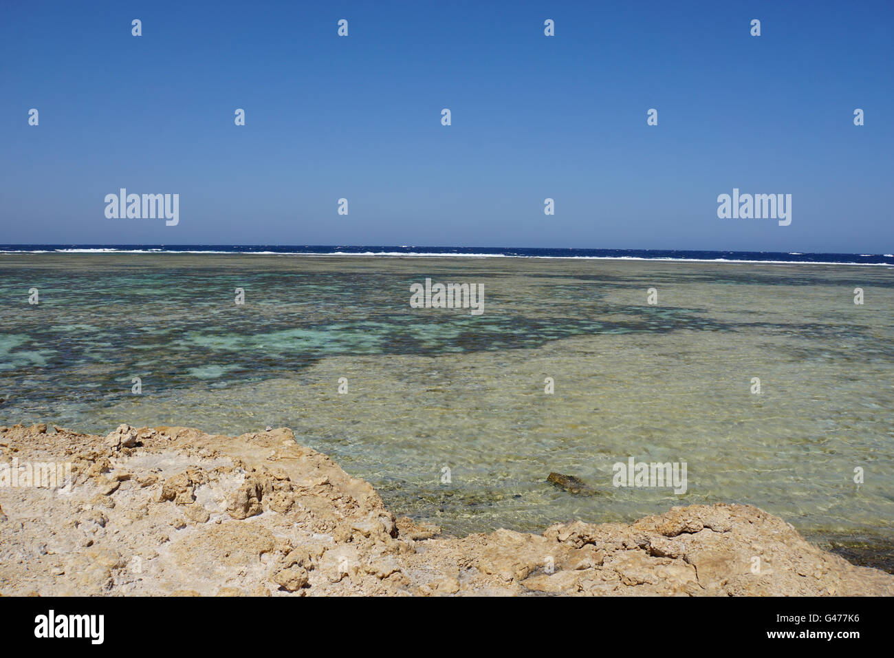 coral reef on egypt coast near el quesir Stock Photo - Alamy