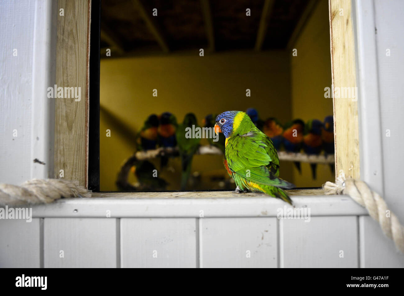 Longleat Safari Park Stock Photo - Alamy