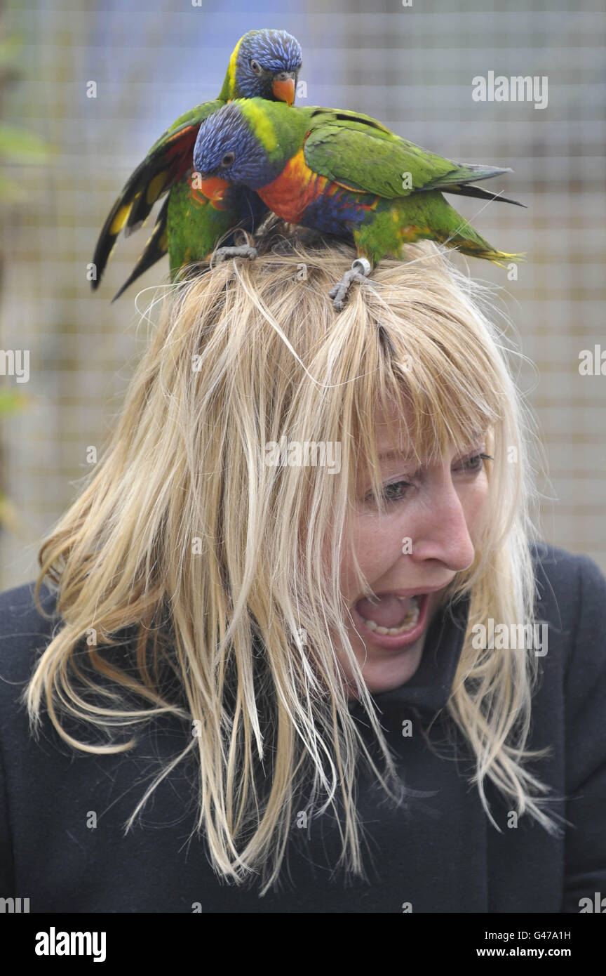 Longleat Safari Park Stock Photo - Alamy