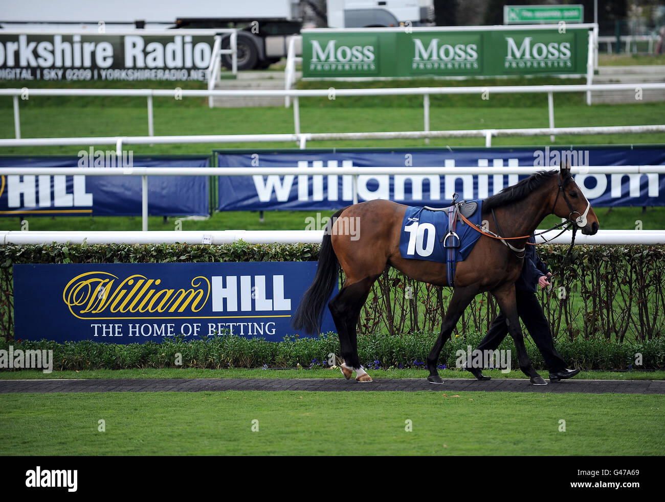 A horse is paraded at doncaster racecourse hi-res stock photography and ...