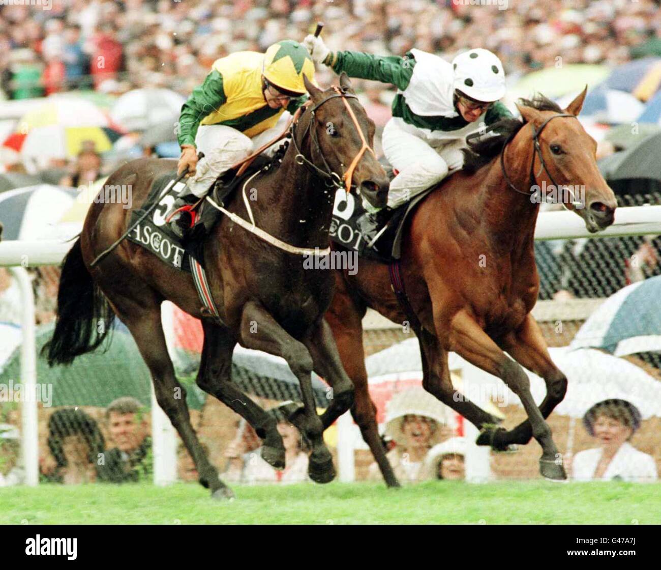 Boy wins hi-res stock photography and images - Alamy