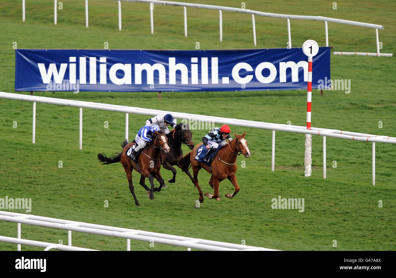 Horse racing races william hill branding sign appearance sponsor name ...