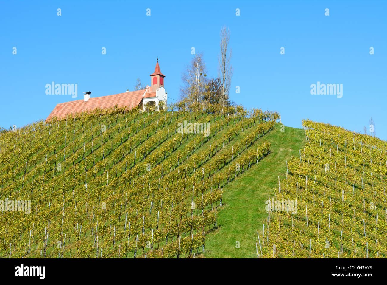 Der wein hi-res stock photography and images - Alamy