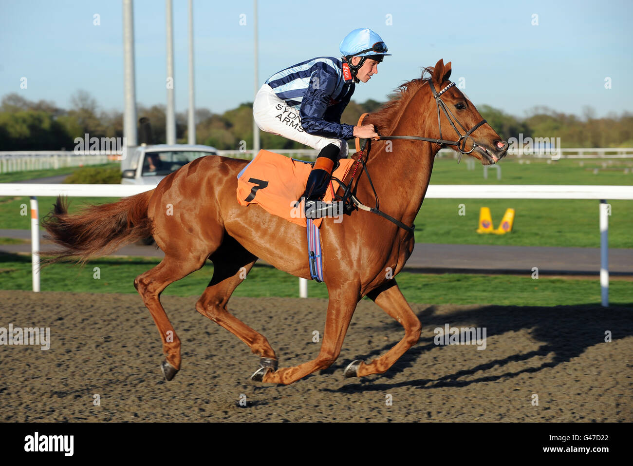 Major Domo ridden by Richard Hughes goes to post for the Racing At ...