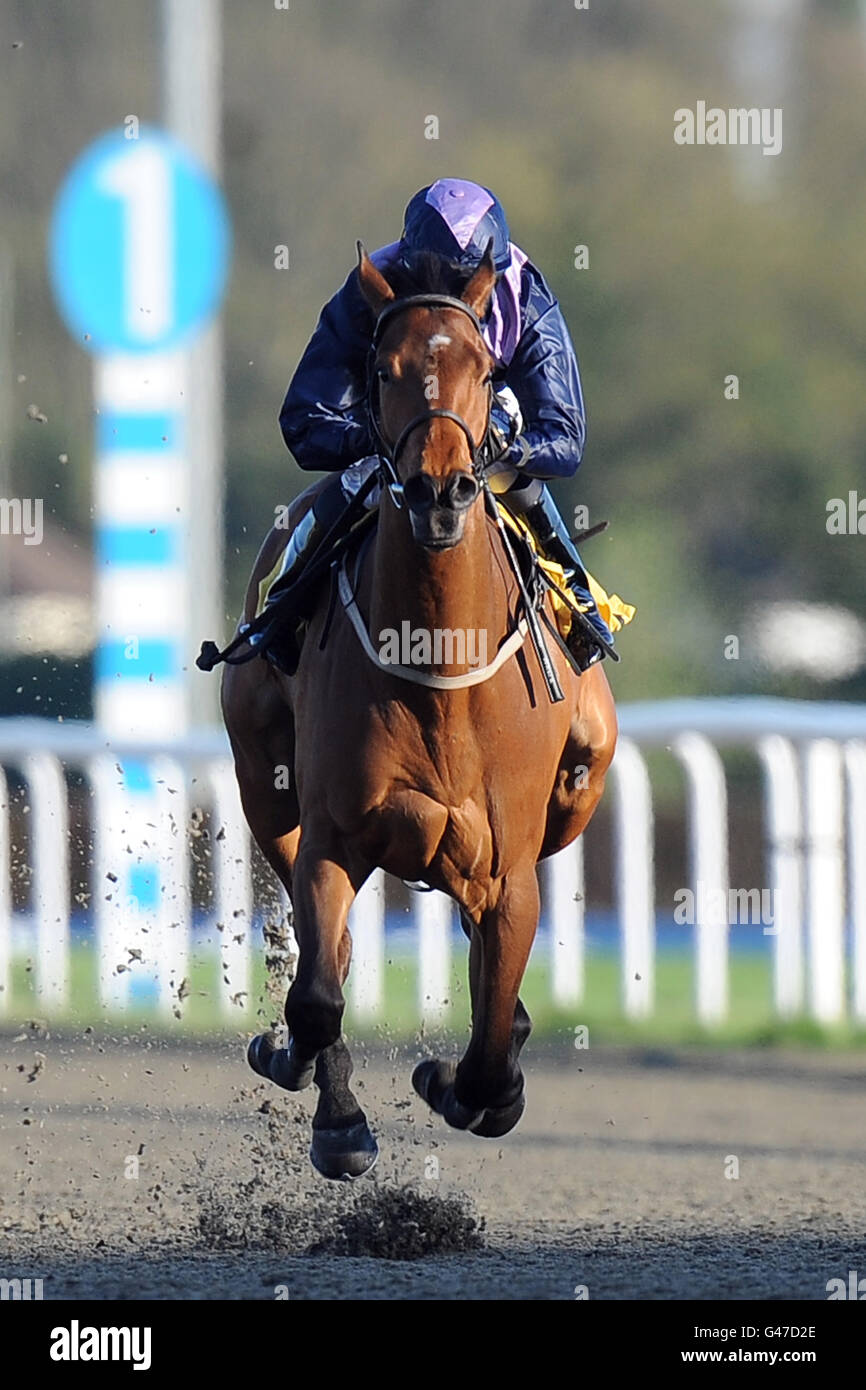 Horse Racing - Kempton Park Racecourse Stock Photo - Alamy