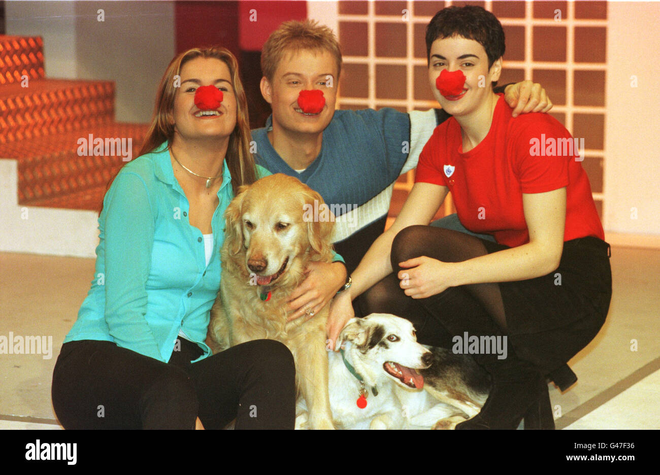 Blue Peter Dogs High Resolution Stock Photography and Images - Alamy