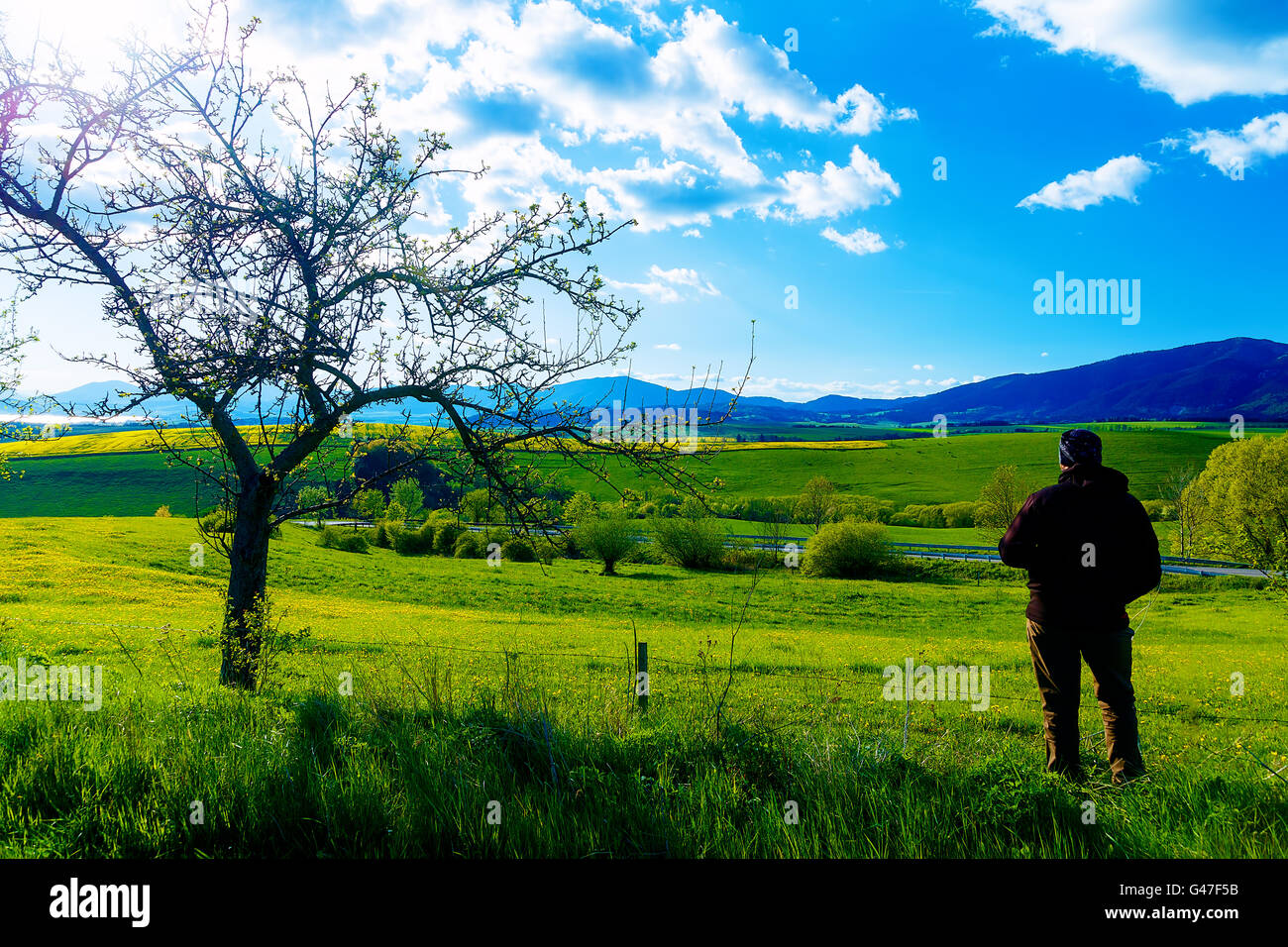 Beautiful landscape, green and yellow meadow with man and tree Stock ...