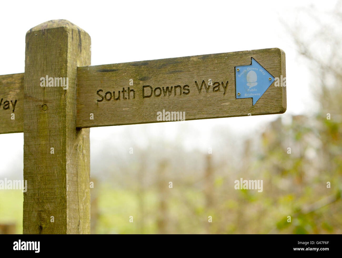 Signposts in the South Downs Way at Harting Down, West Sussex which is ...