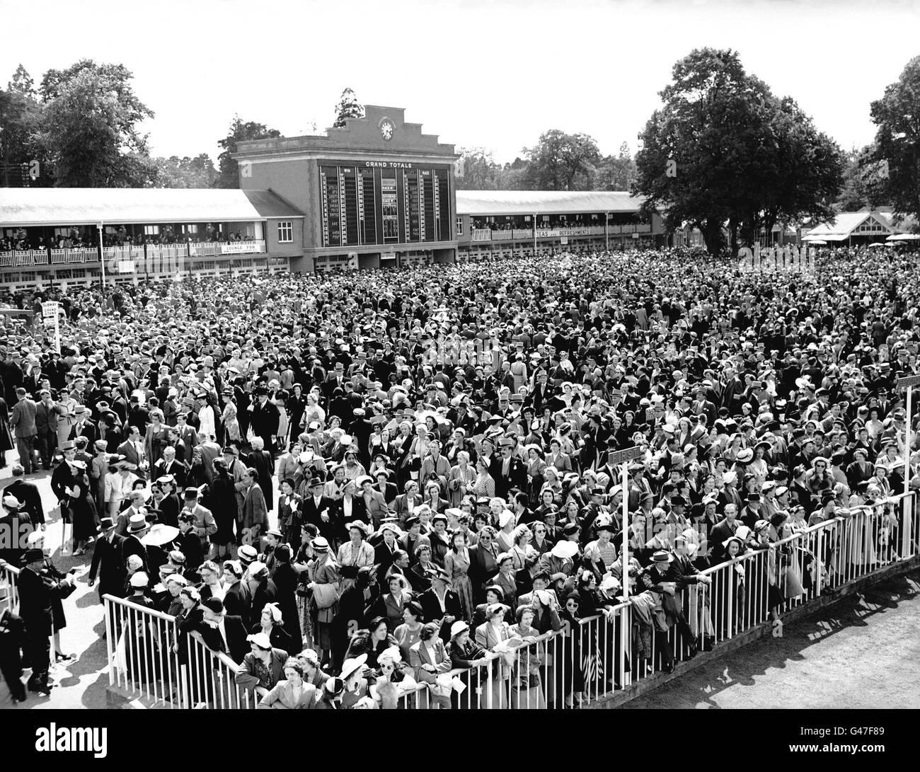 Spectators crowd the paddock during royal ascot hi-res stock ...