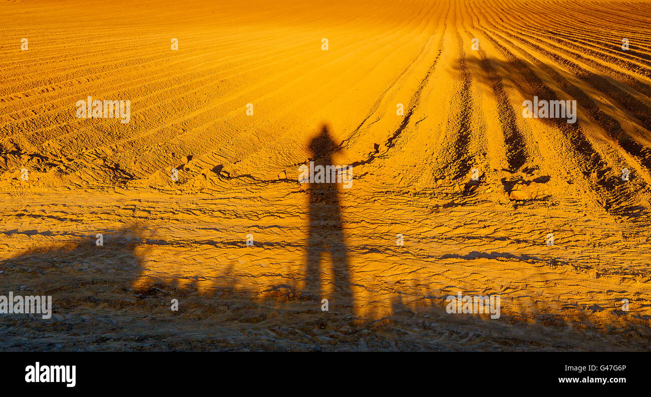 Shadow of a man on a brown plowed field at sunset Stock Photo - Alamy