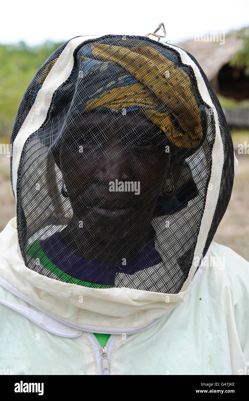 African bees kenya hi-res stock photography and images - Alamy
