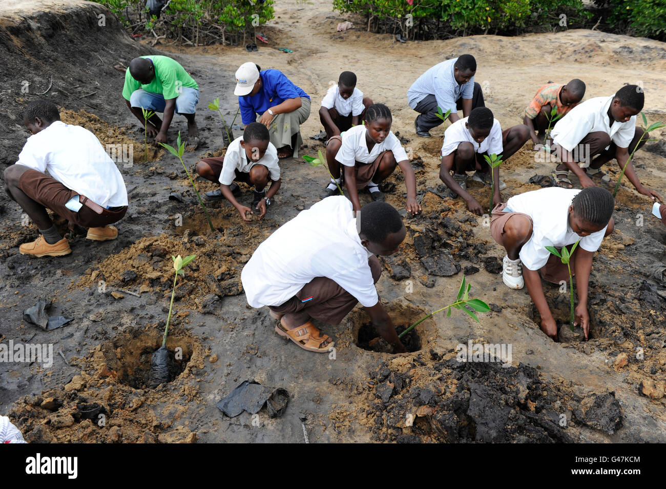School children planting tree hi-res stock photography and images - Alamy