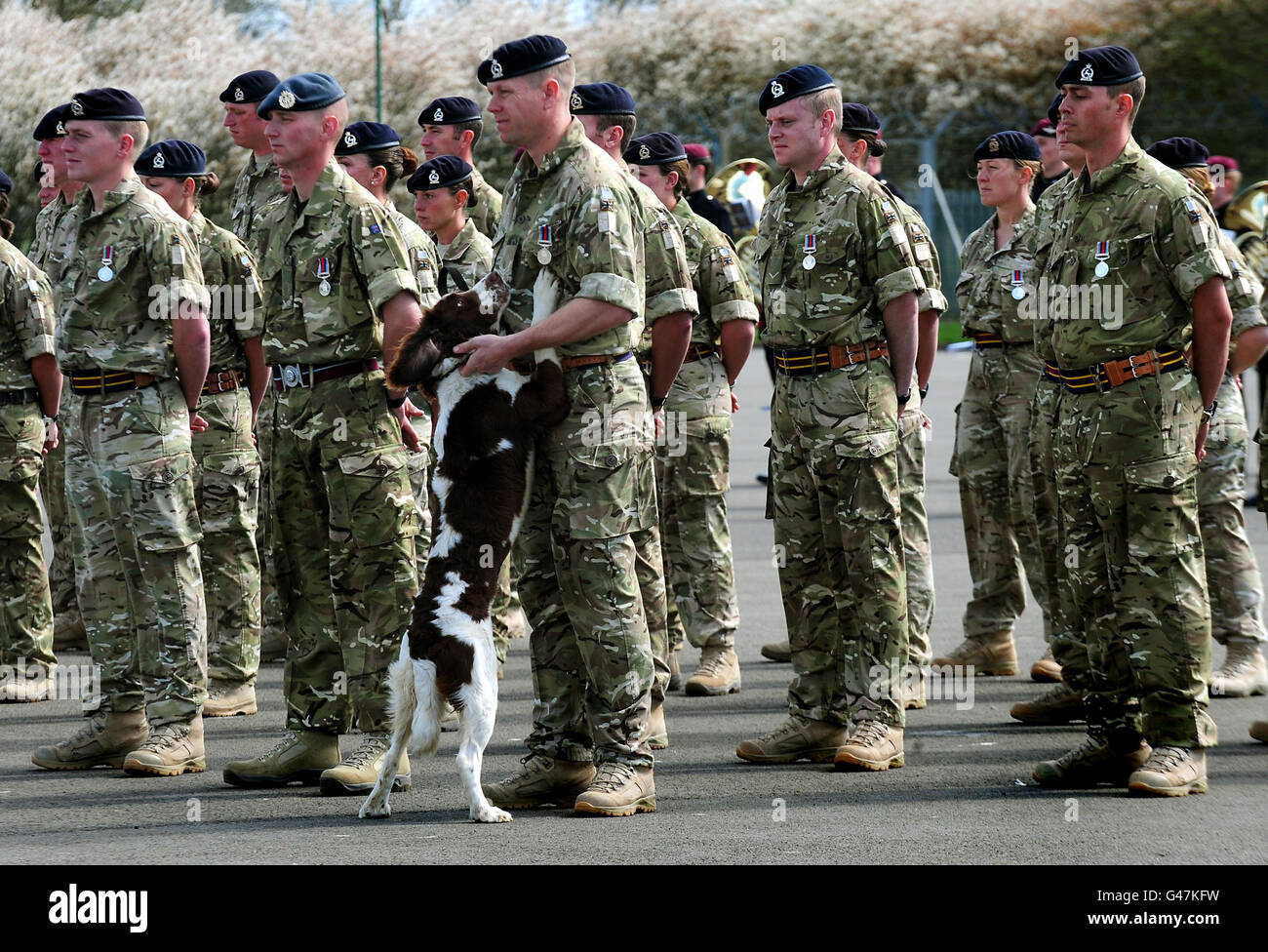 1st military working dog regiment hi-res stock photography and images ...